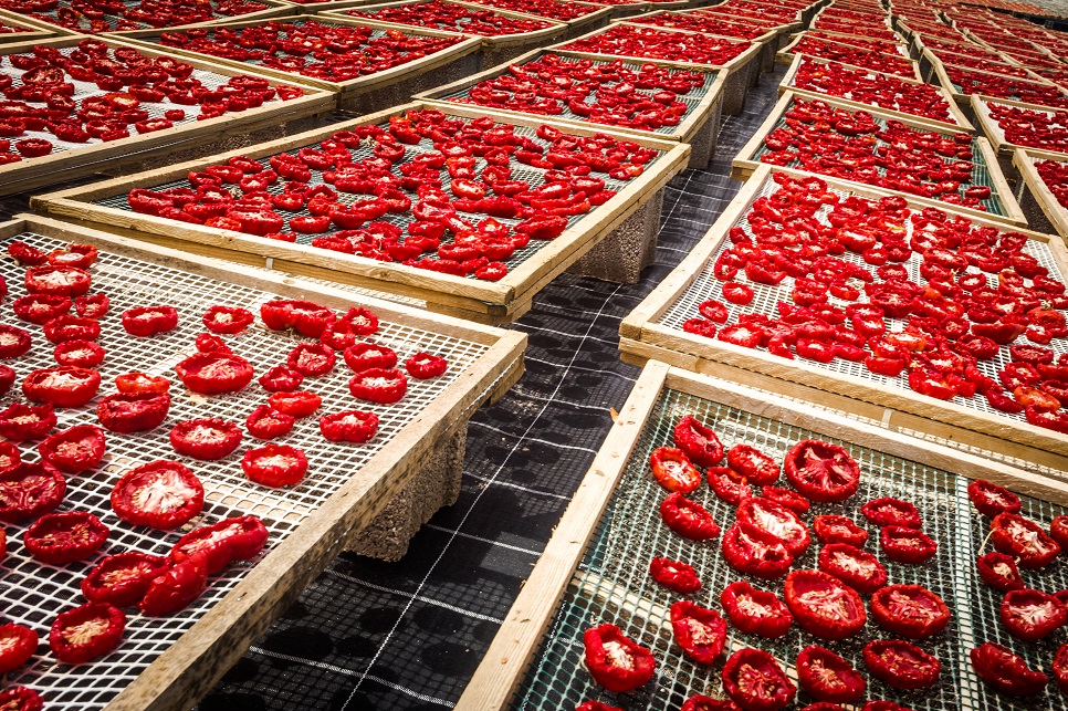 The Tomato of Pachino | WishSicily